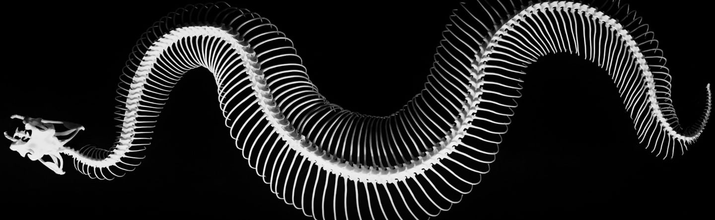 Learn Computing from the Experts | The Rheinwerk Computing Blog